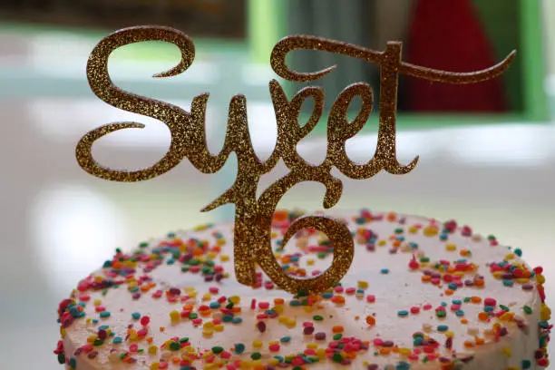 Sweet 16 Party Bus – Celebrate in Style & Fun! - DC Nation Tours